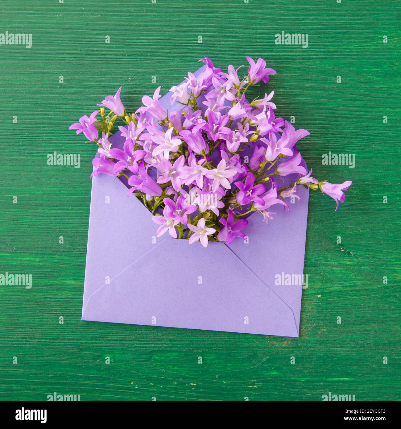 Envelope with bell flowers Stock Photo - Alamy