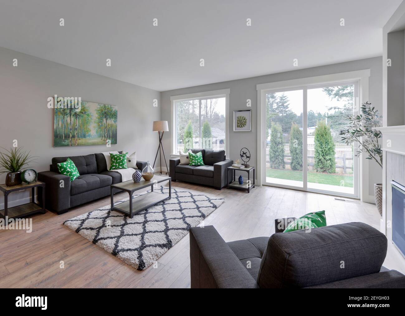 Modern residential living room interior Stock Photo - Alamy