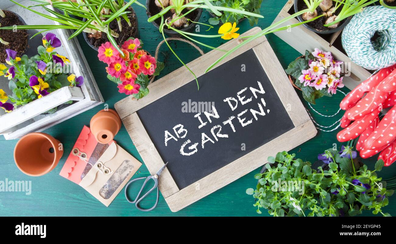 Plant fresh flowers Stock Photo - Alamy