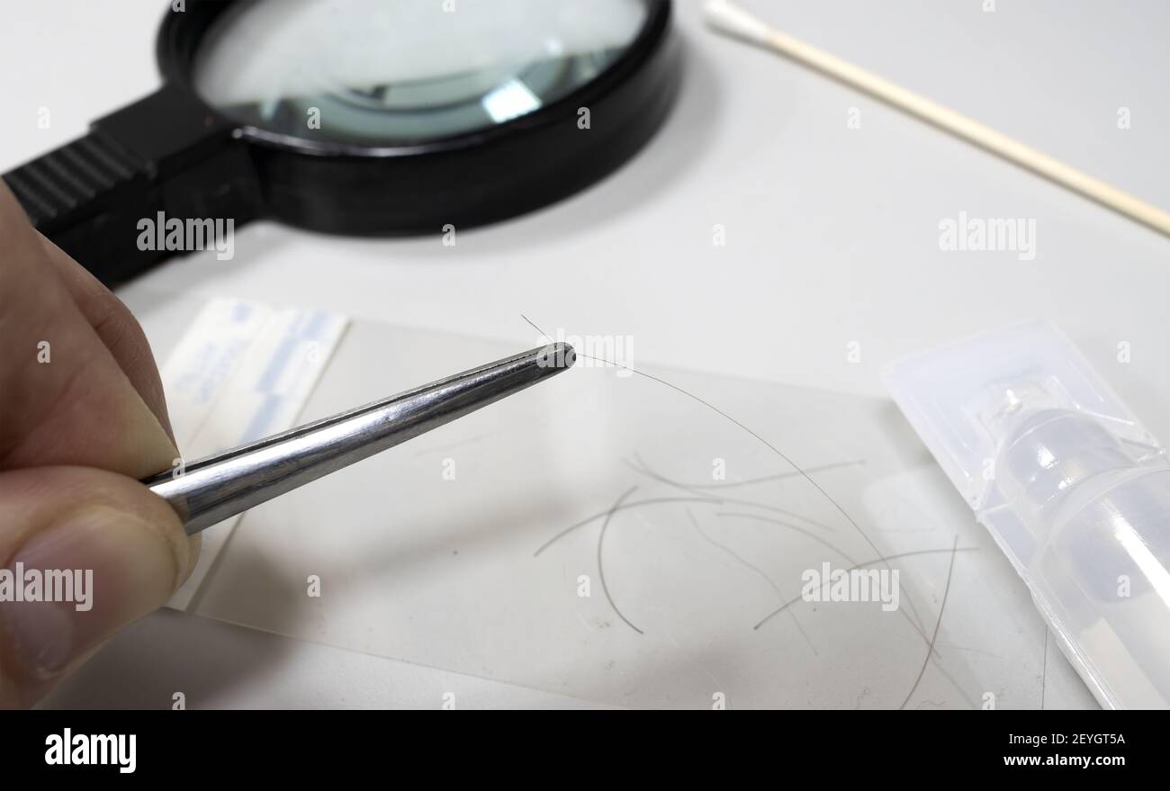 Human hair evidence hi-res stock photography and images - Alamy