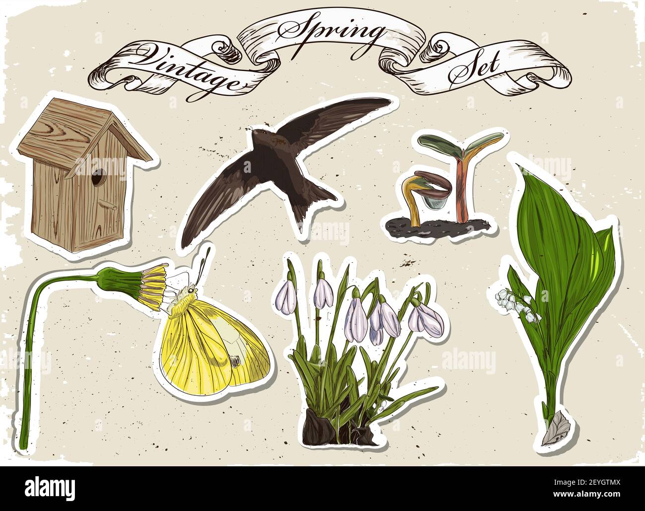 Vintage vector eco spring hi-res stock photography and images - Alamy