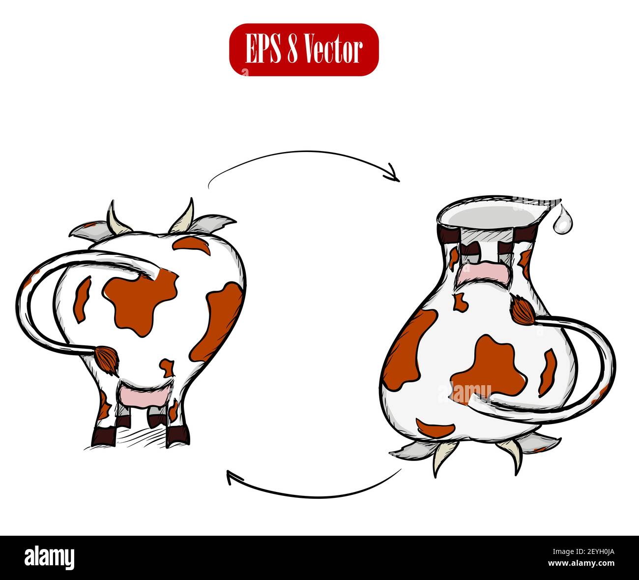 Hand drawn milk jug Cut Out Stock Images & Pictures - Alamy