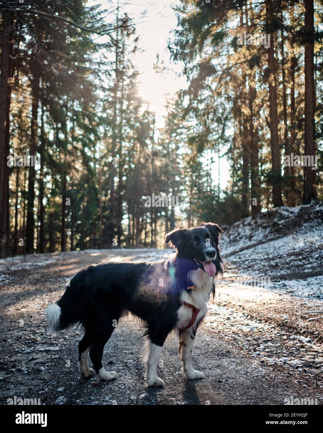 Border with way hi-res stock photography and images - Alamy