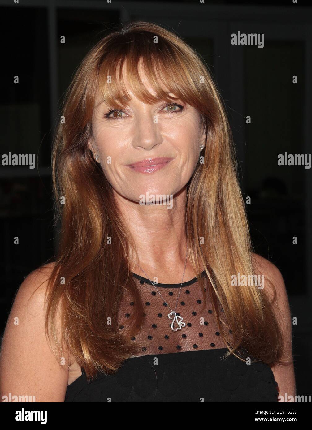 Jane Seymour attends The Los Angeles Premier of "Thanks For Sharing" at ...