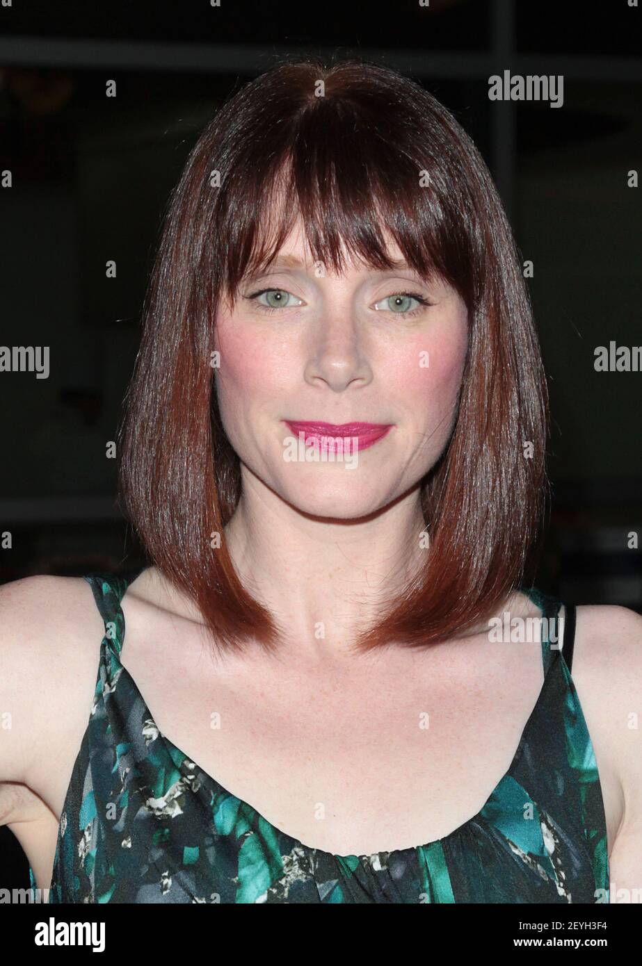 Bryce Dallas Howard attends The Los Angeles Premier of "Thanks For ...