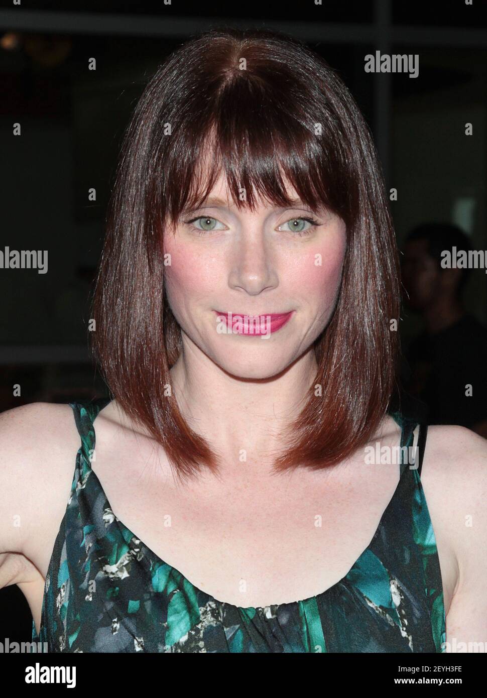 Bryce Dallas Howard attends The Los Angeles Premier of "Thanks For ...