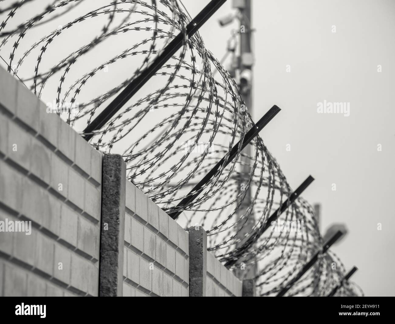 Large barbed wire roll security fence Stock Photo - Alamy
