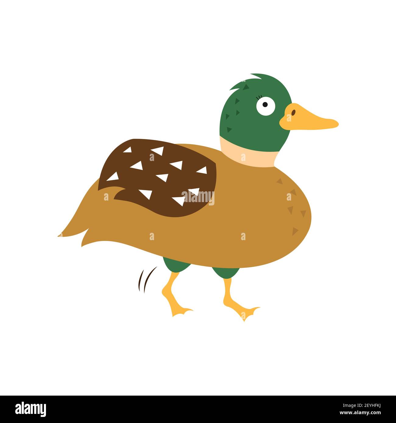 Cartoon duck, vector illustration on white isolated background Stock ...