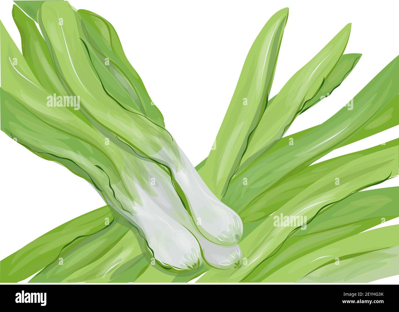 Spindly plant Stock Vector Images - Alamy