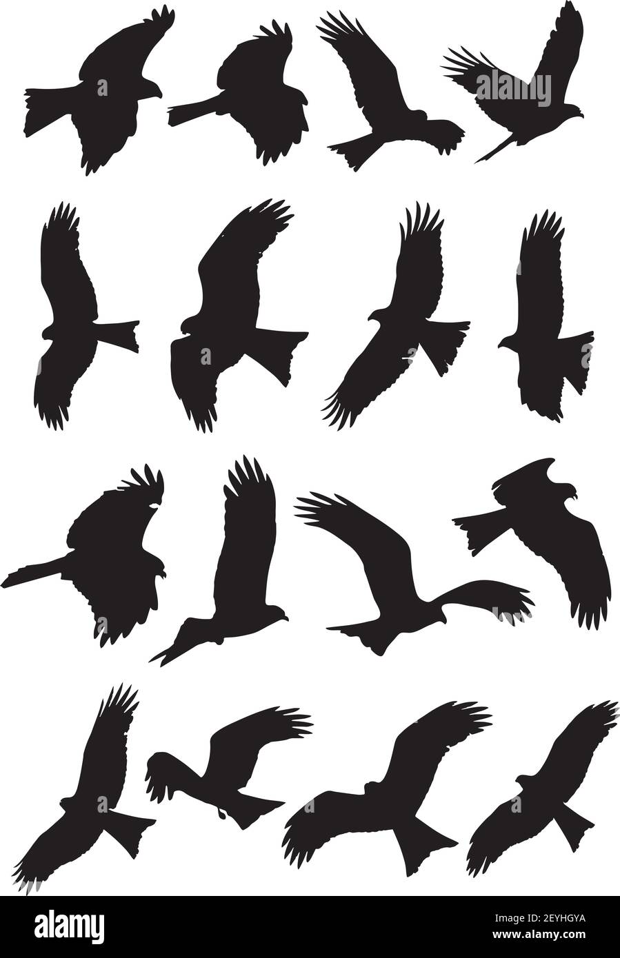 Eagles birds shadow set of silhouette Stock Vector Image & Art - Alamy