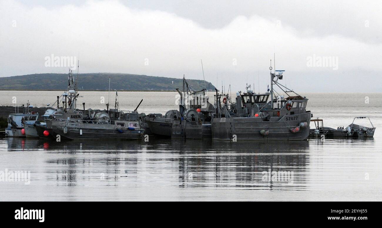 Commercial fishing boats are moored in Dillingham on Monday, August 26 ...