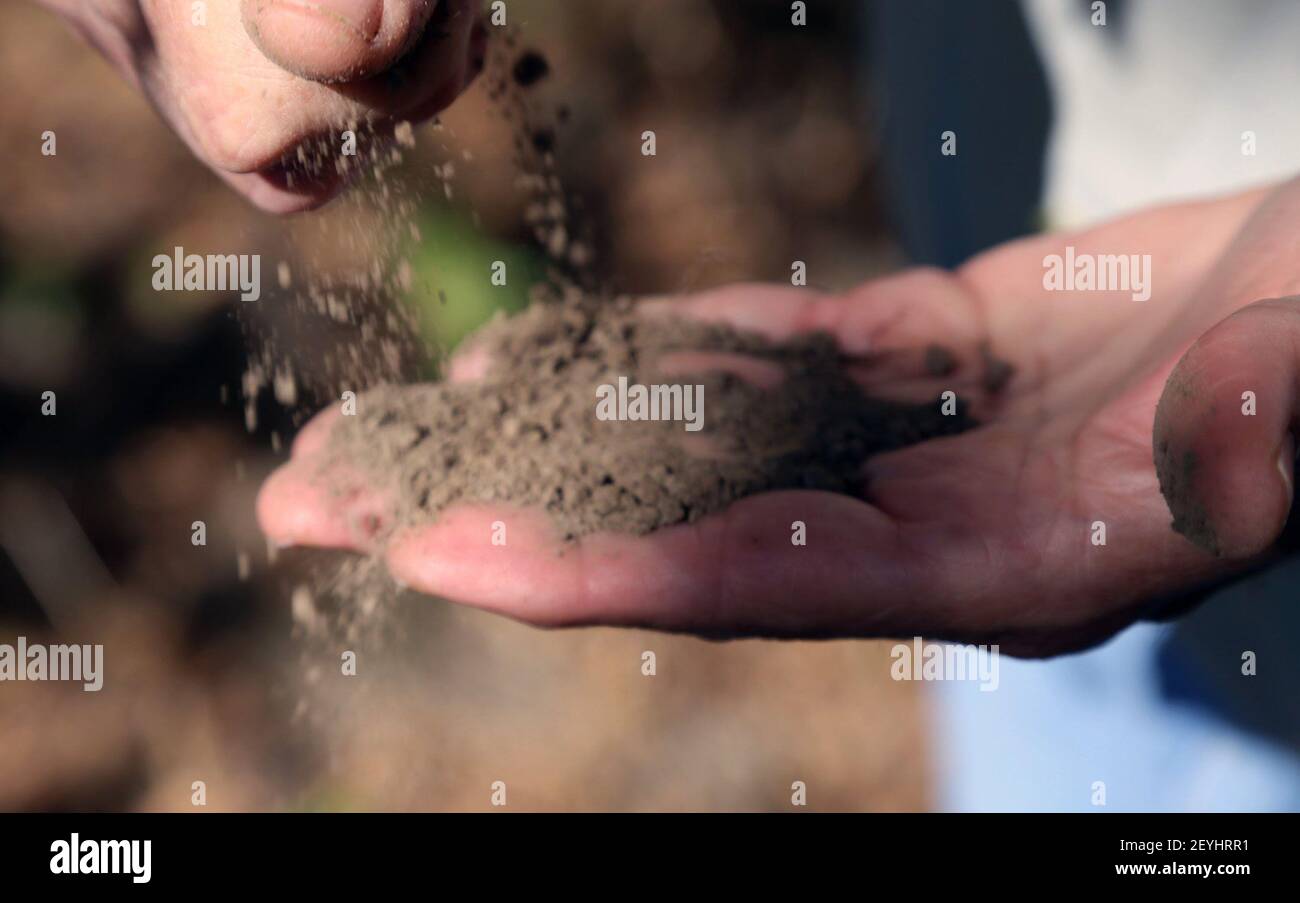 The powder-like soil that overlays limestone bedrock in southeast ...