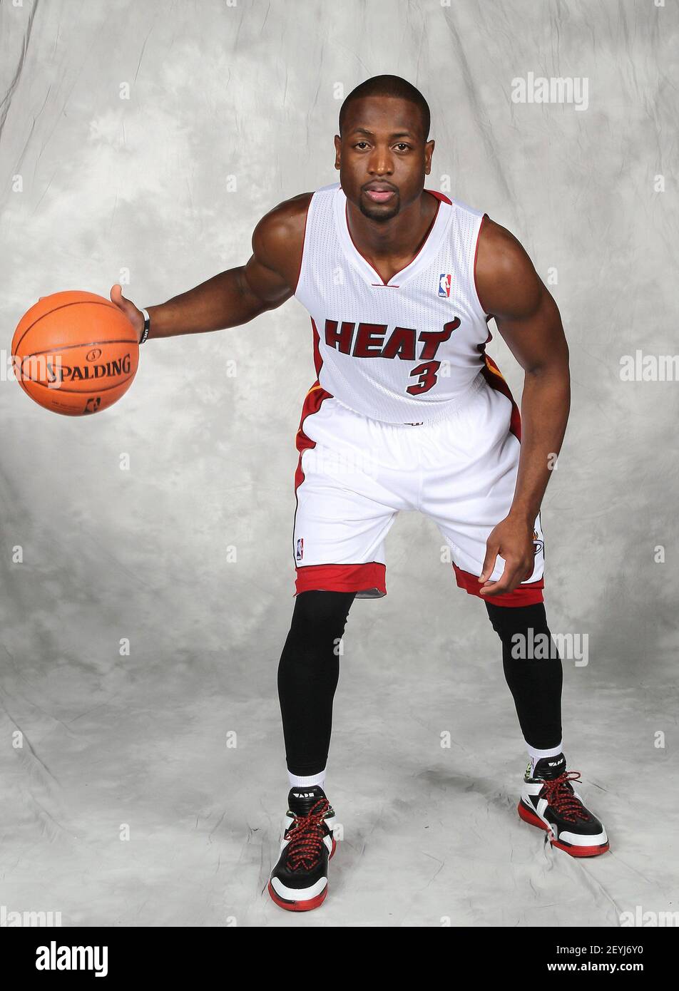 The Miami Heat's Dwyane Wade poses for a portrait during the team's ...