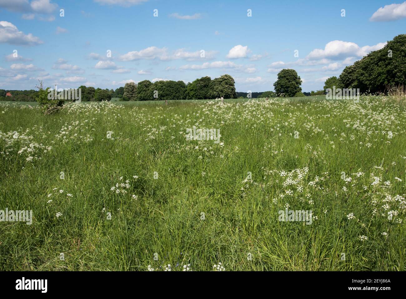 Gross park hi-res stock photography and images - Alamy