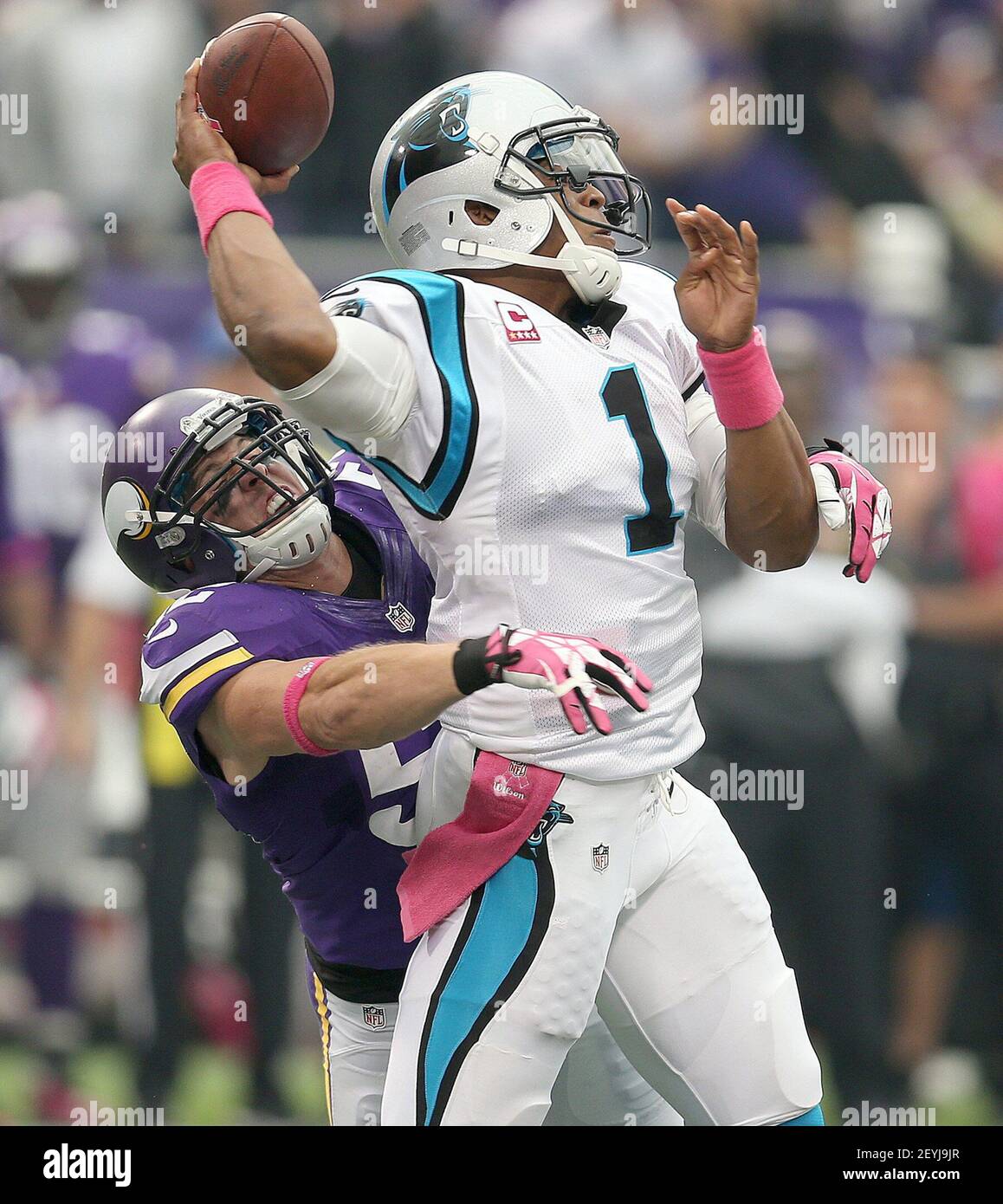 Minnesota Vikings outside linebacker Chad Greenway (52) sacks Carolina ...
