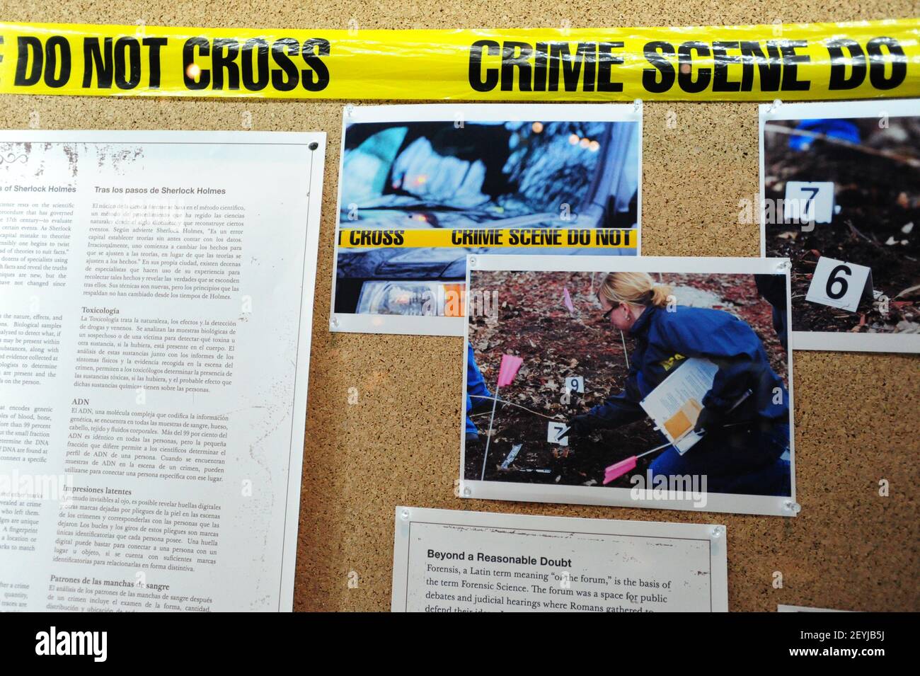 The International Exhibition of Sherlock Holmes on display at Oregon ...