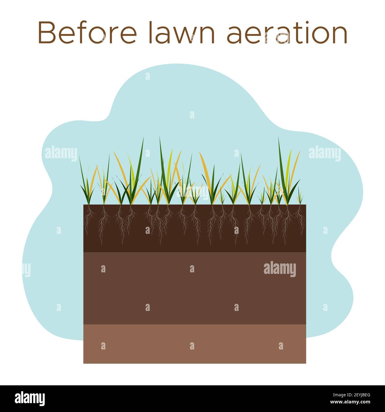 Lawn care - aeration and scarification. Labels by stage-before. Intake ...