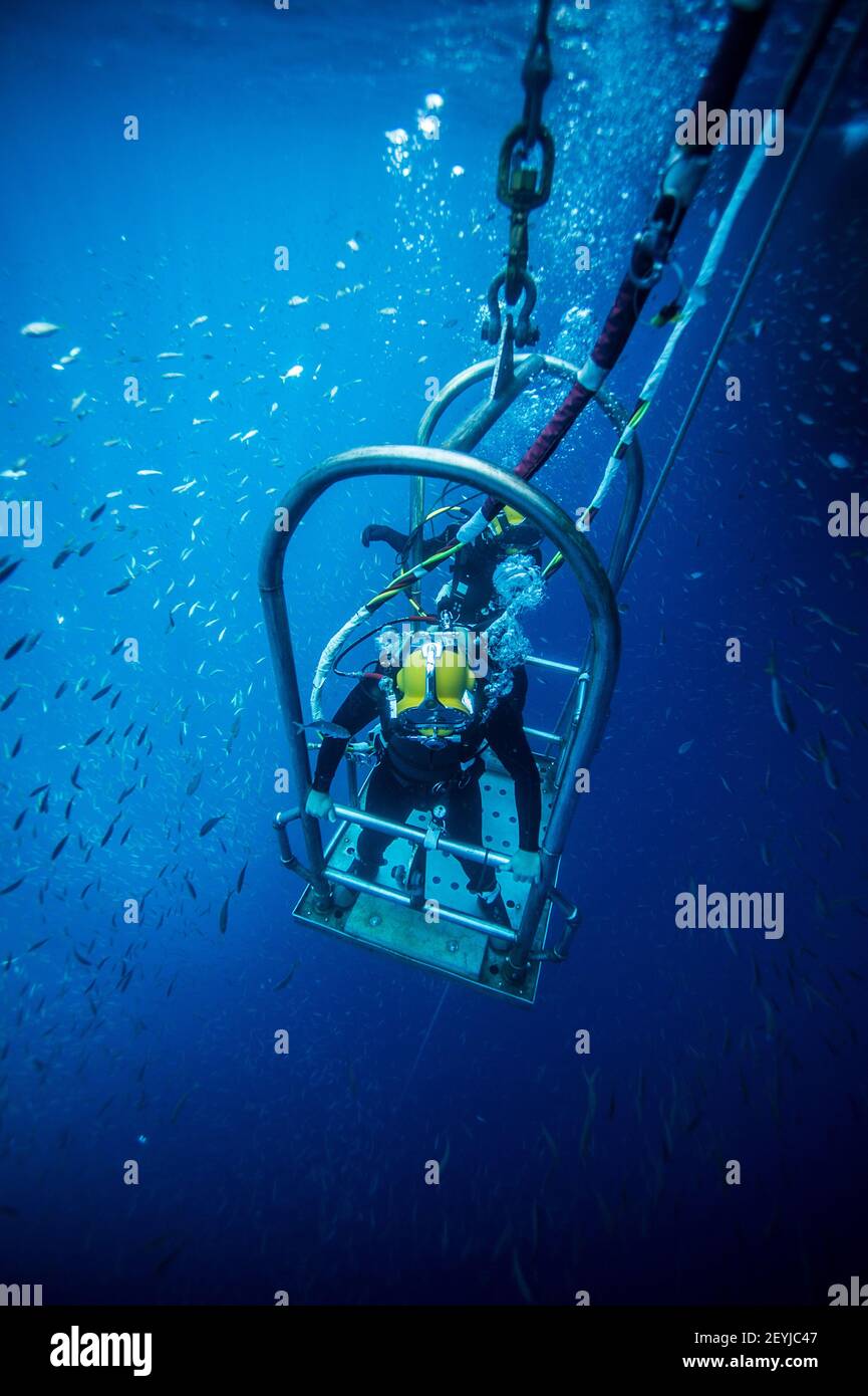 U.S. Navy divers with Mobile Diving and Salvage Unit 2, Company 2-1 ...