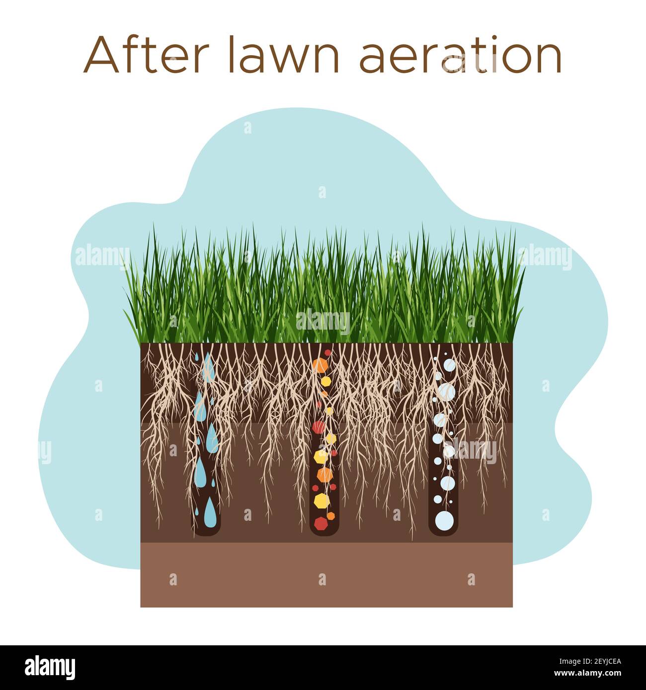 Lawn care - aeration and scarification. Labels by stage-after. Intake ...