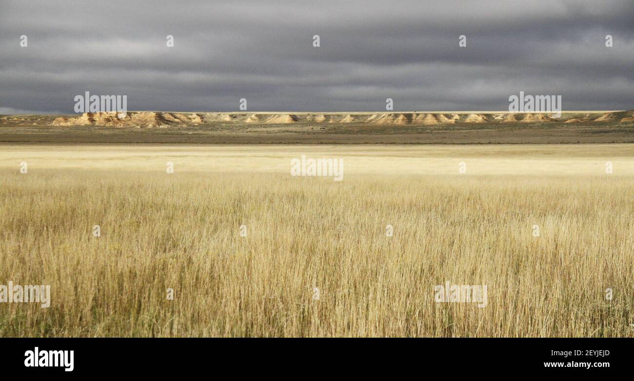 Kansas's best pronghorn county is short grass prairie that stretches ...