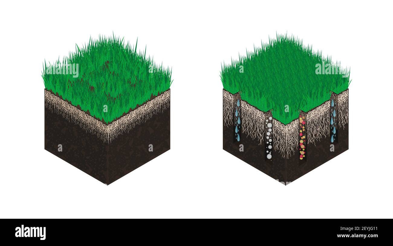 Lawn care, soil isometry, stages before and after aeration. Effect on ...