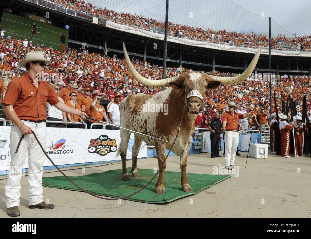 October 12, 2013: Texas Longhorns mascot Bevo XIV during an NCAA Big 12 ...