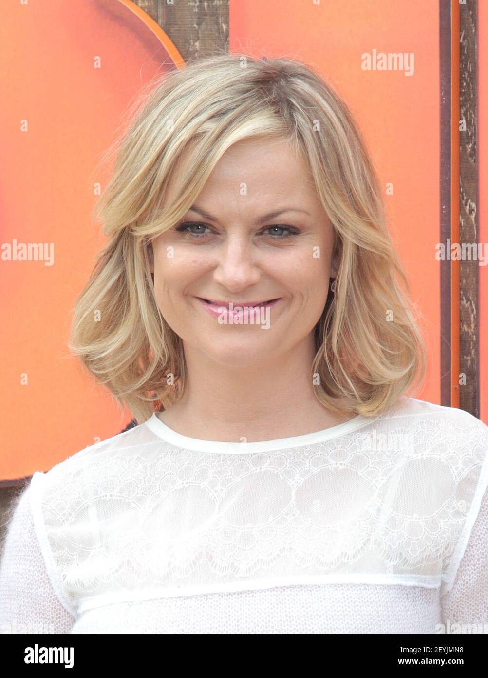 Amy Poehler attends The World Premiere of "Free Birds" at the Westwood ...