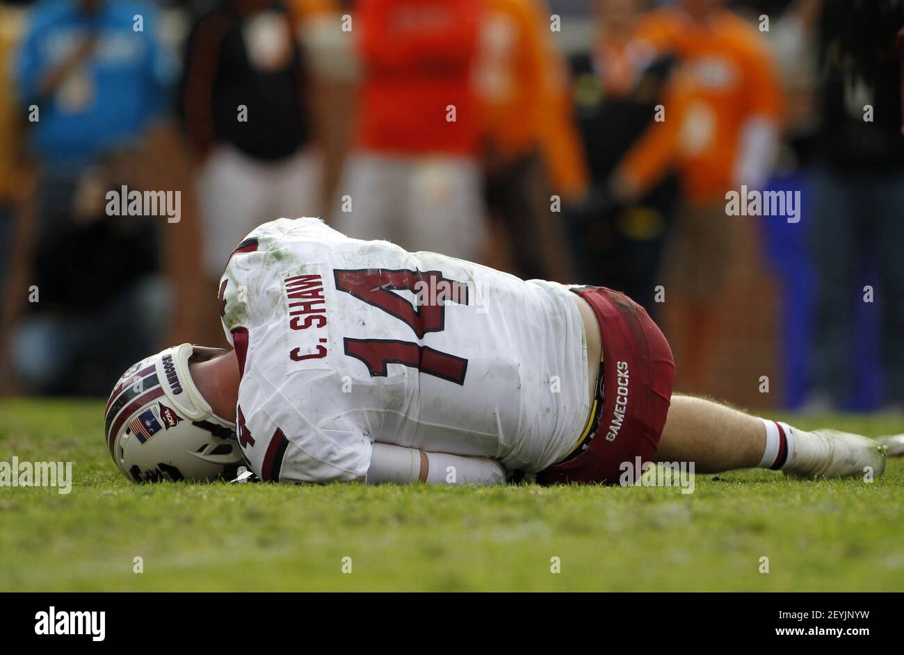 South Carolina Gamecocks quarterback Connor Shaw (14) lies on the field ...