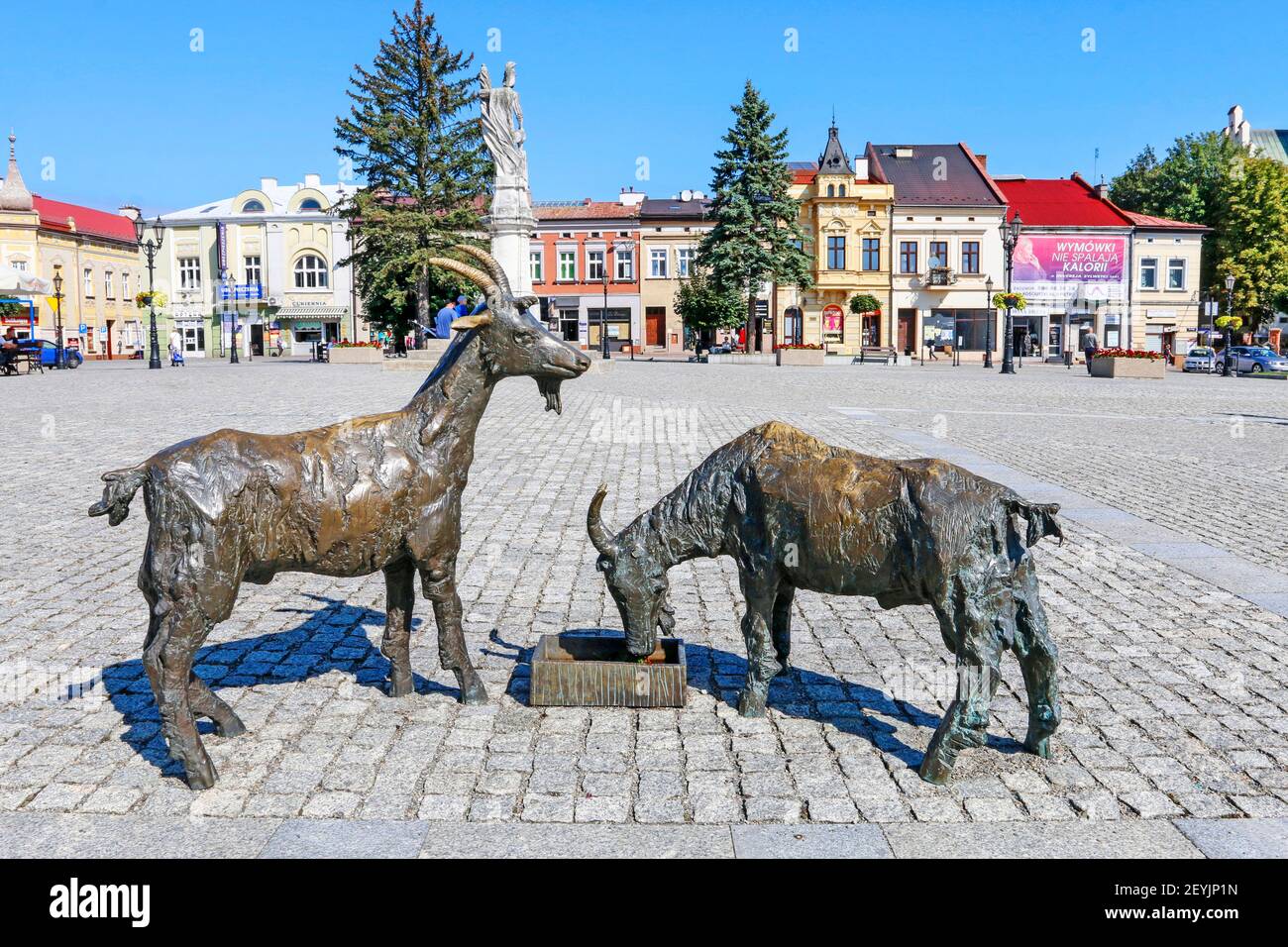 A monument to the goats on the Old Town Square in Brzesko, Poland Stock ...