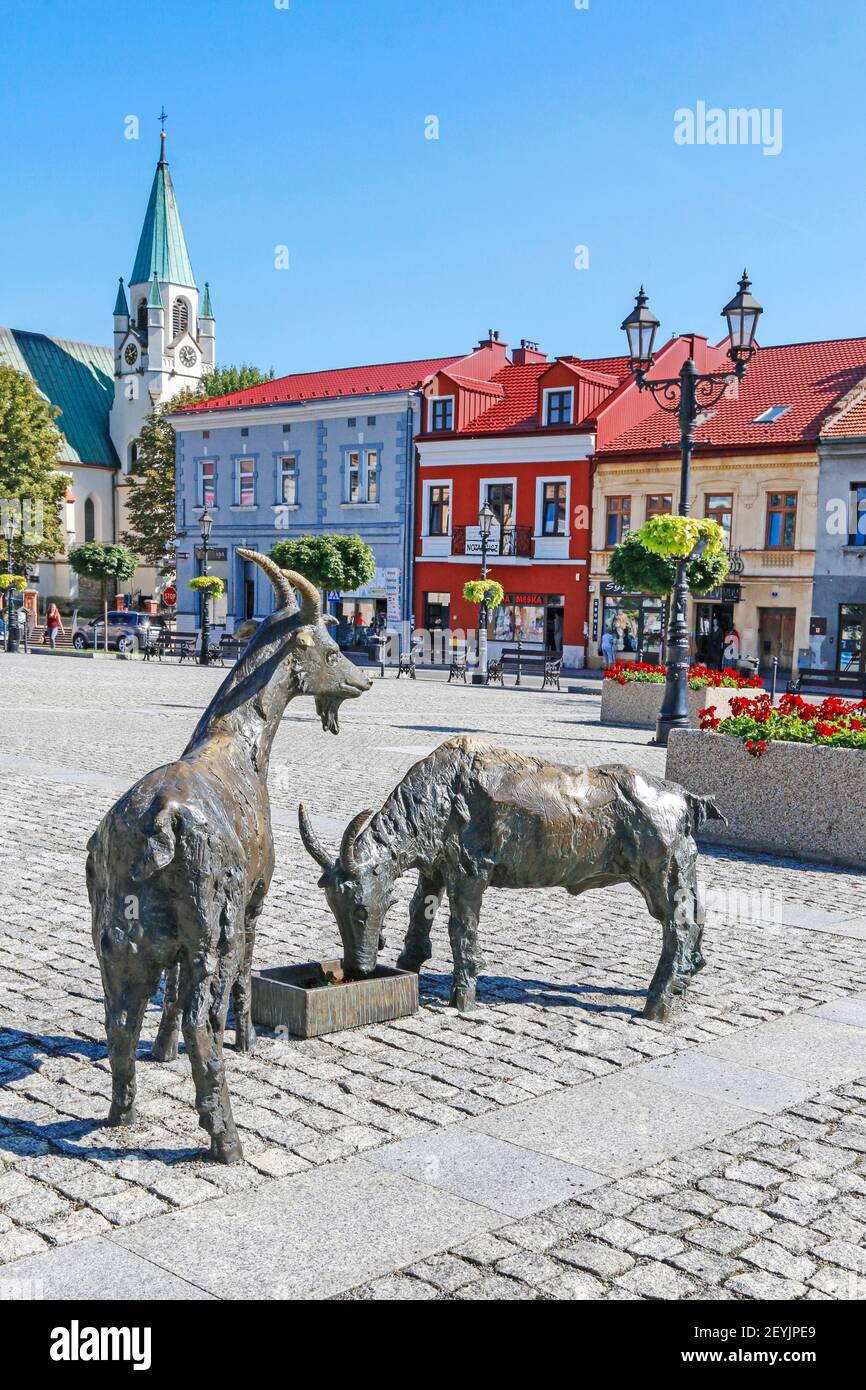 A monument to the goats on the Old Town Square in Brzesko, Poland Stock ...