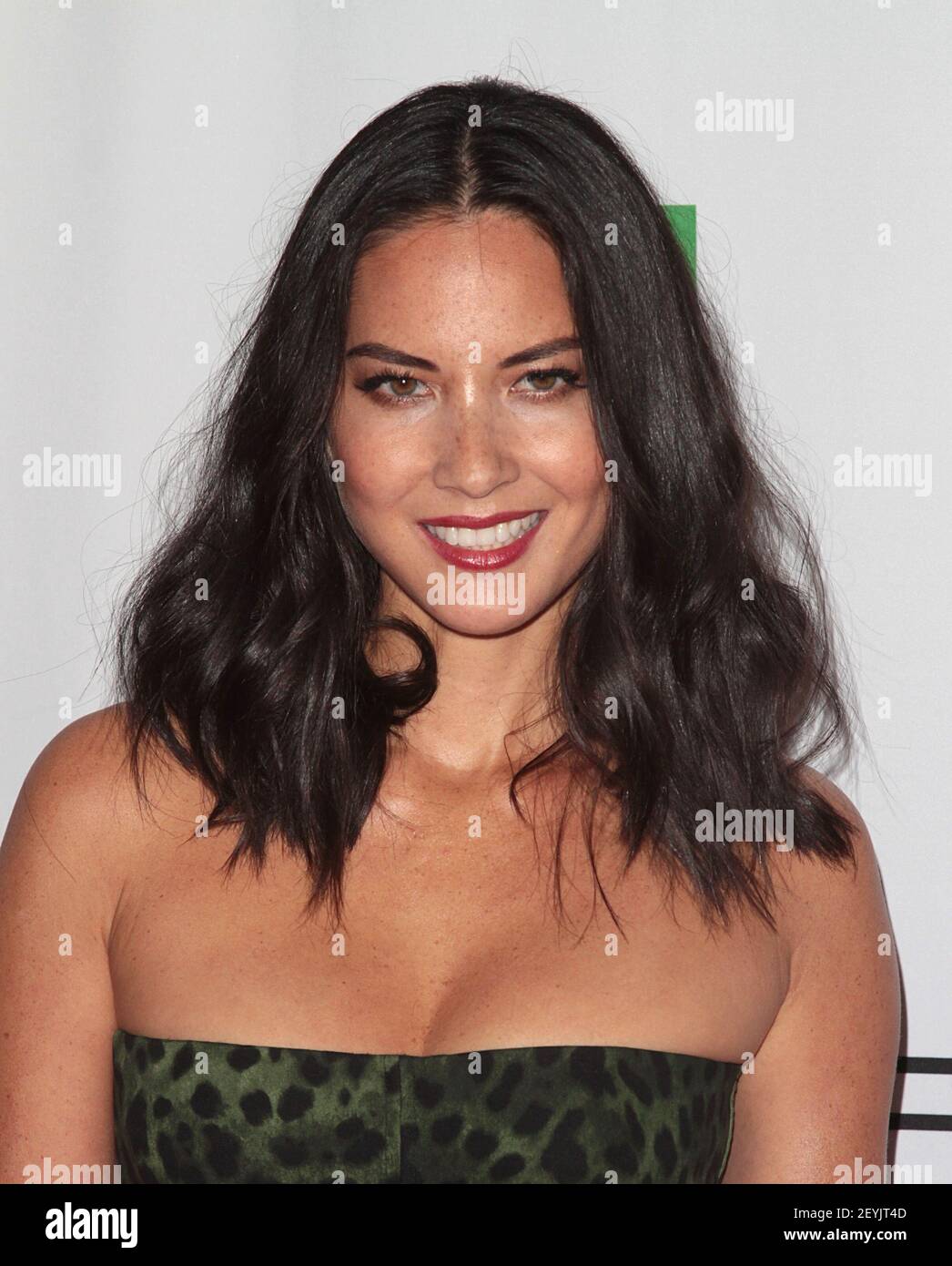Olivia Munn attends The 17th Annual Hollywood Film Awards Gala at the ...
