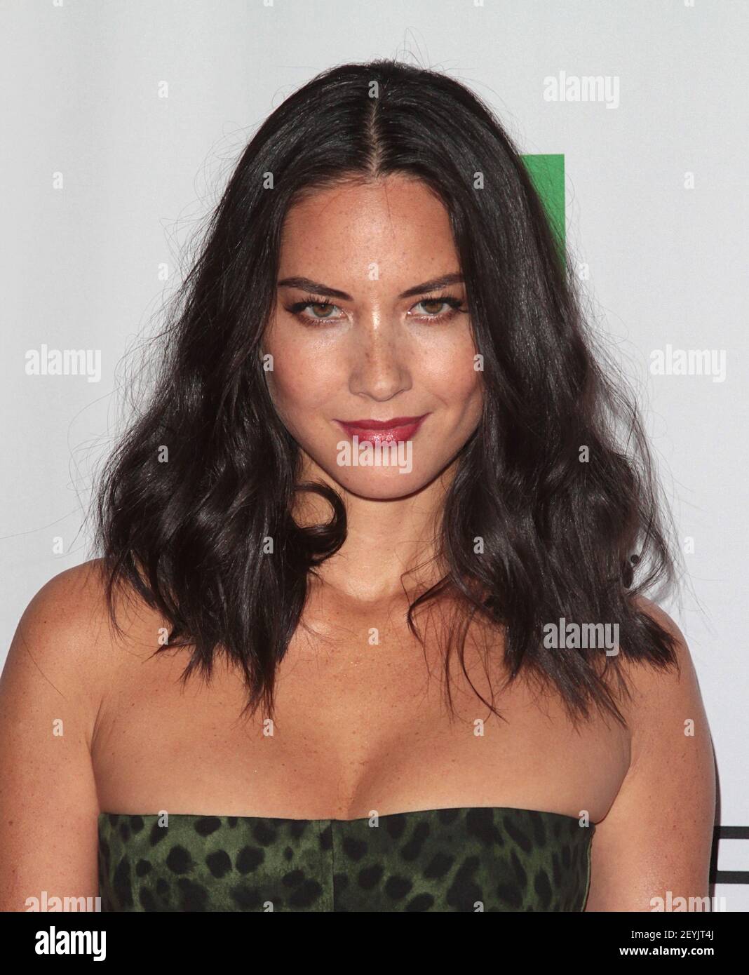 Olivia Munn attends The 17th Annual Hollywood Film Awards Gala at the ...