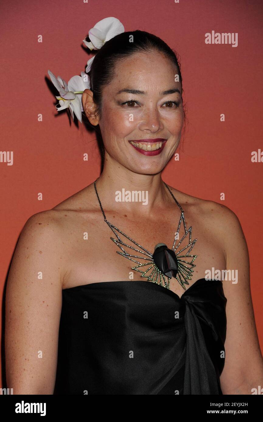 Cecilia Dean arrives to the Whitney Museum of American Art's 2013 Gala ...
