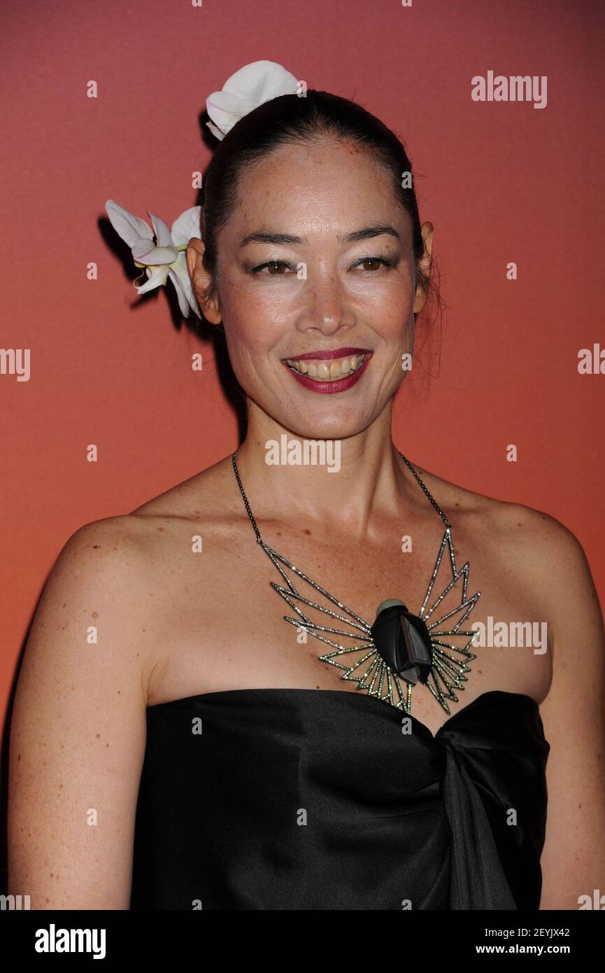 Cecilia Dean arrives to the Whitney Museum of American Art's 2013 Gala ...