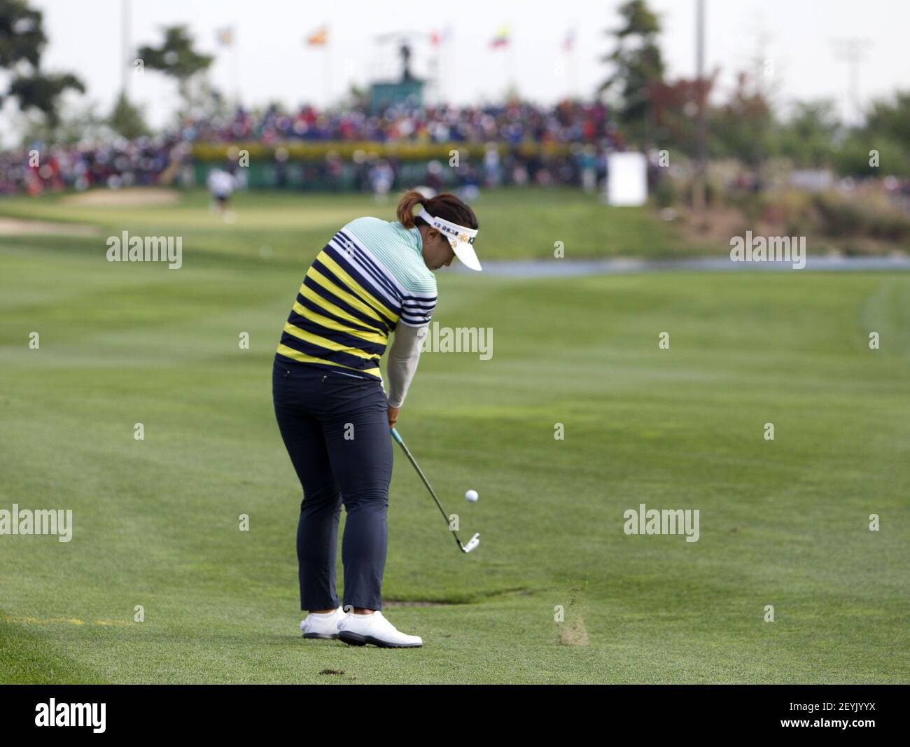 20 October 2013 - Incheon, South Korea - Amy Yang of South Korea plays ...