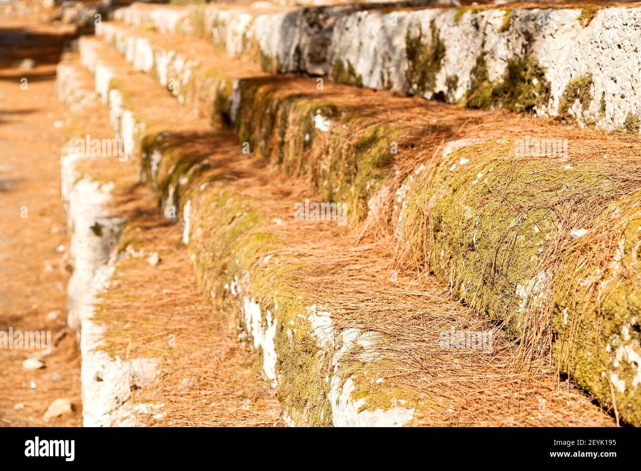 Pine needles ruins stone and theatre in asia Stock Photo - Alamy