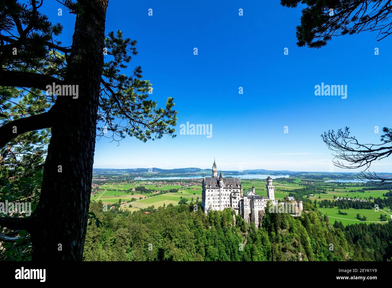 View of famous and amazing Neuschwanstein Castle, Bavaria, Germany ...