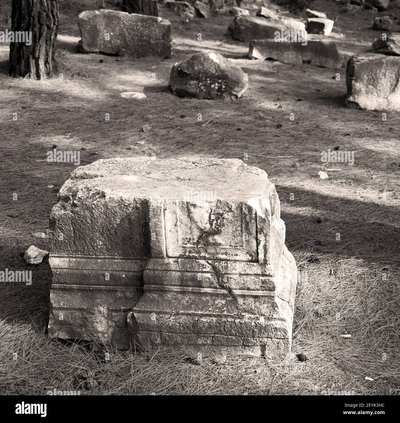 Old ruined column and destroyed stone in phaselis temple turkey asia ...