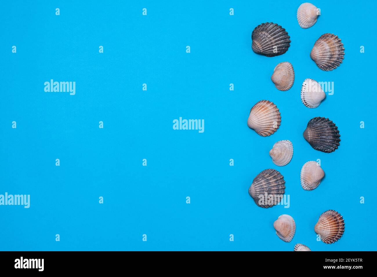 Sea paper background of blue color with seashells. Natural seashells ...