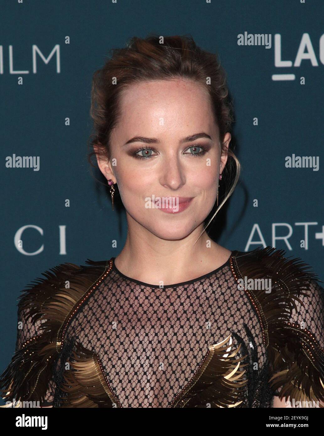 Dakota Johnson attends The 2013 LACMA Art + Film Gala at the LACMA in ...