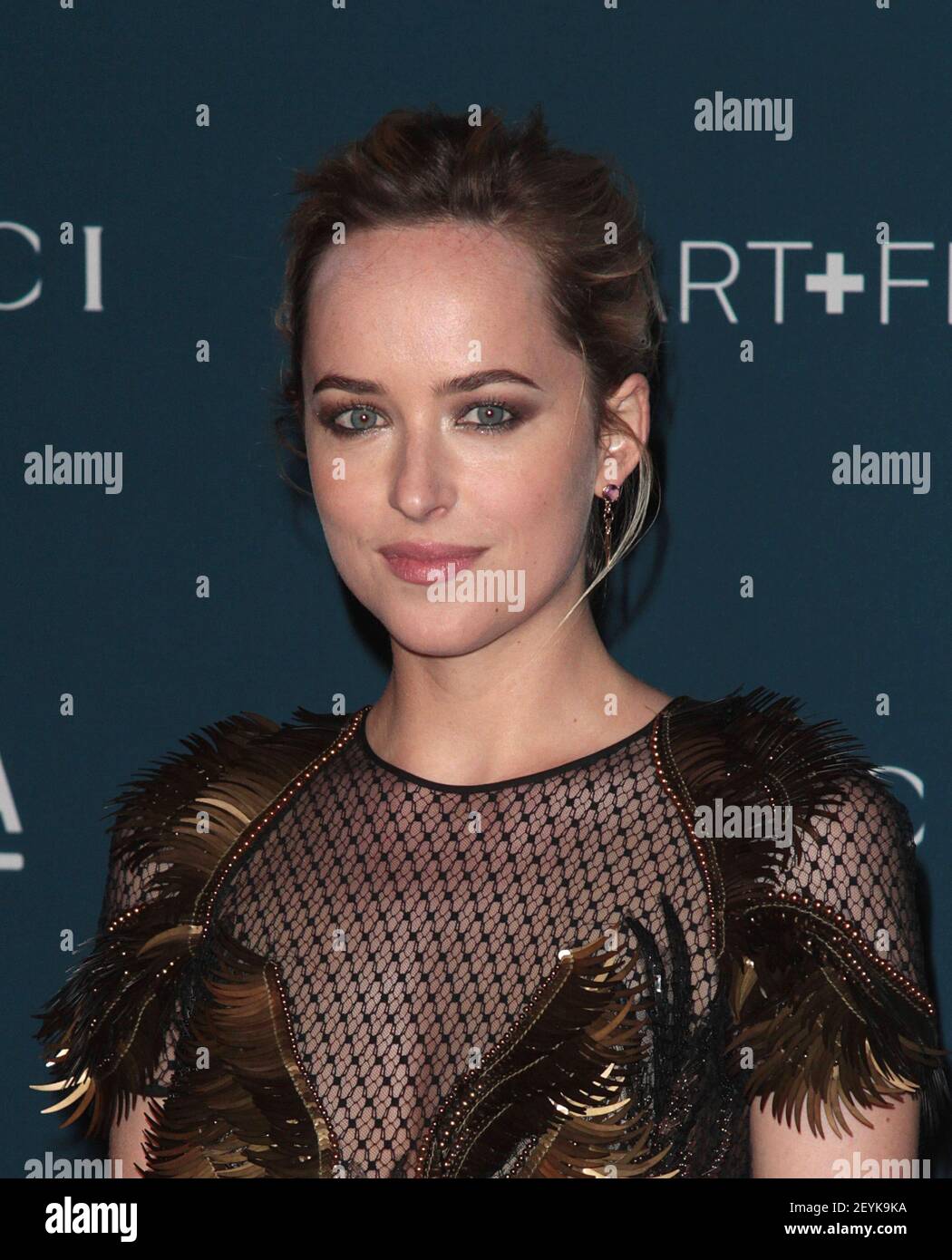 Dakota Johnson attends The 2013 LACMA Art + Film Gala at the LACMA in ...