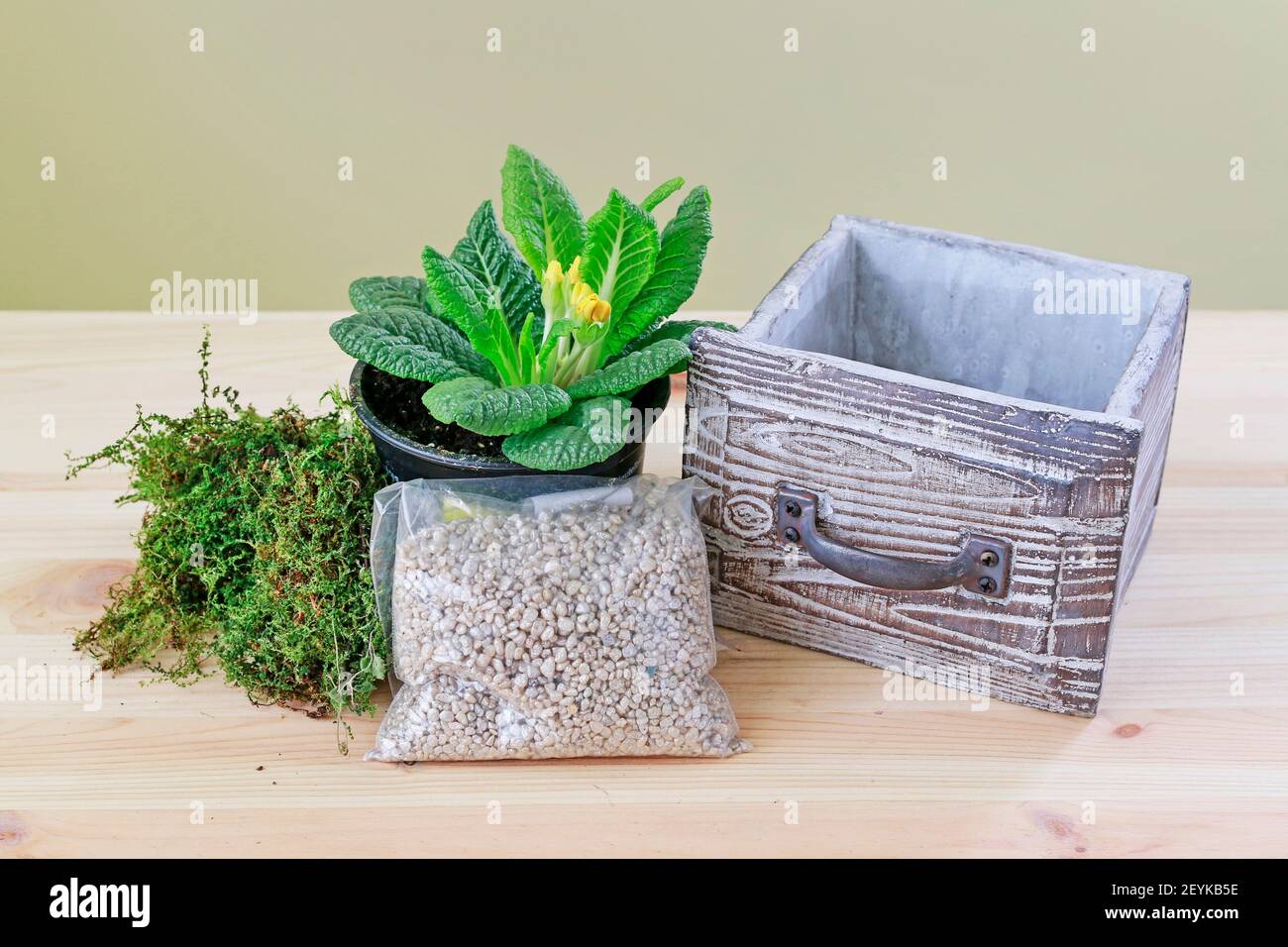 Florist at work: woman shows how to make a simple decoration with ...