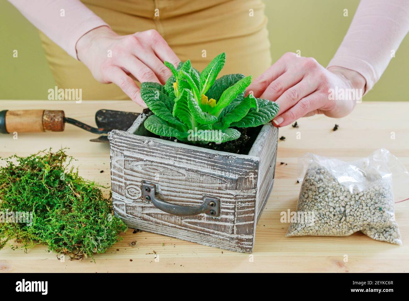 Florist at work: woman shows how to make a simple decoration with ...