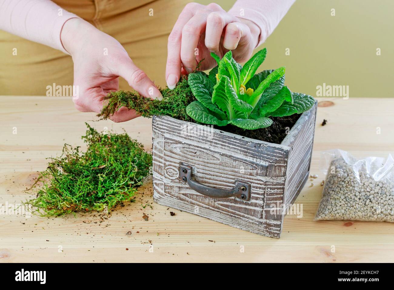 Florist at work: woman shows how to make a simple decoration with ...