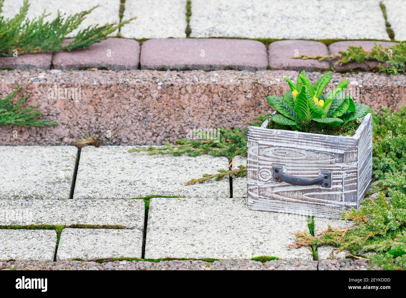 Florist at work: woman shows how to make a simple decoration with ...