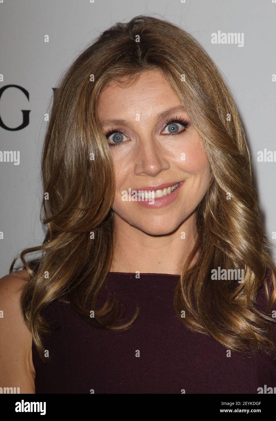 4 November 2013 - Beverly Hills, California - Sarah Chalke. Equality ...