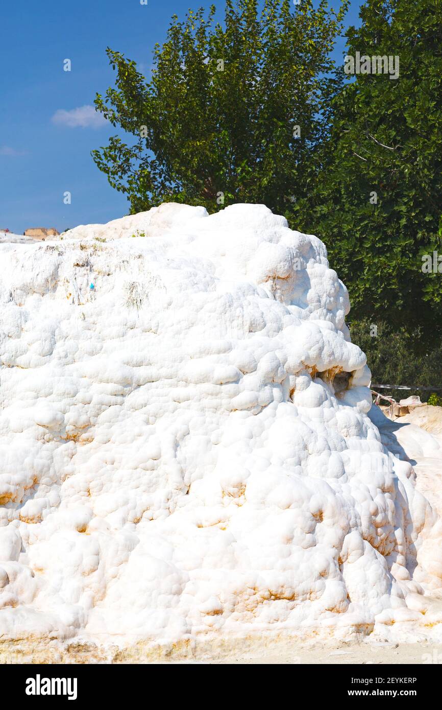 Tree bath and travertine water Stock Photo - Alamy