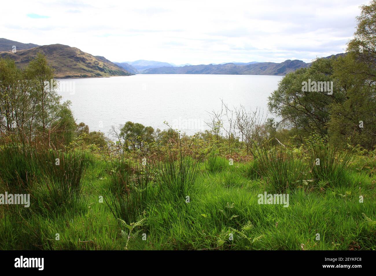 Spring view on the Knoydart peninsula (Scotland Stock Photo - Alamy