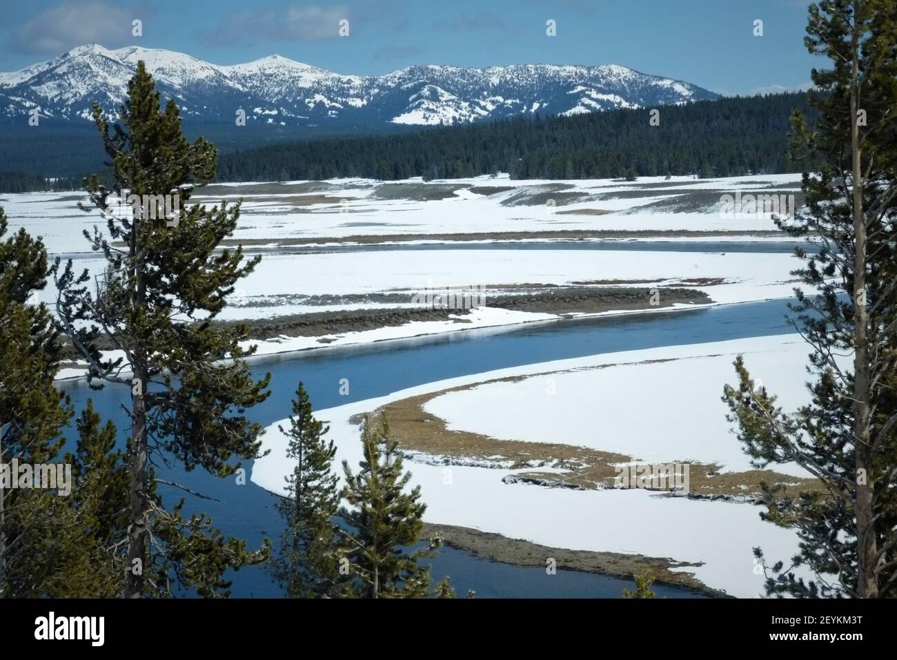 Yellowstone National Park in spring Stock Photo - Alamy