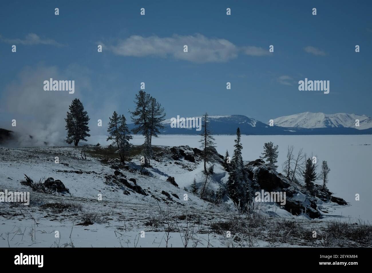 Yellowstone National Park in spring Stock Photo - Alamy